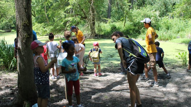 Nature Summer Camps - Irons Oaks